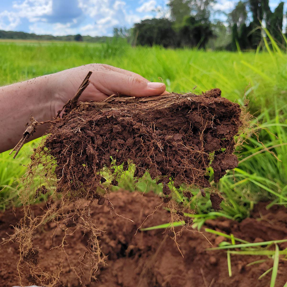 Embrapa lança curso sobre manejo e conservação de solo e água — Agência Gov