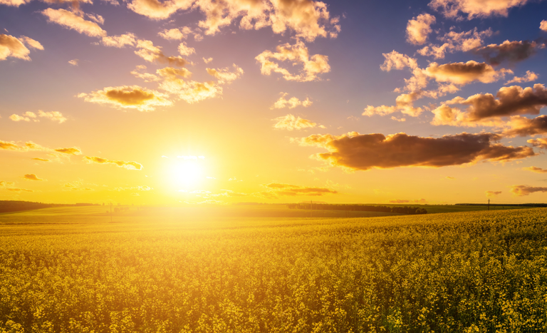 Inmet emite alerta para onda de calor nos próximos dias — Agência Gov