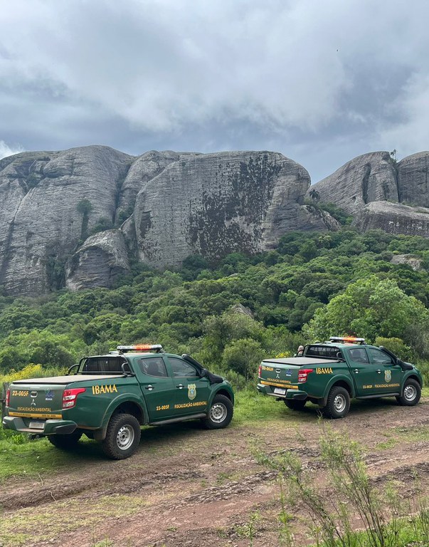 Ibama emite 41 notificações por possíveis fraudes no controle do javali ...
