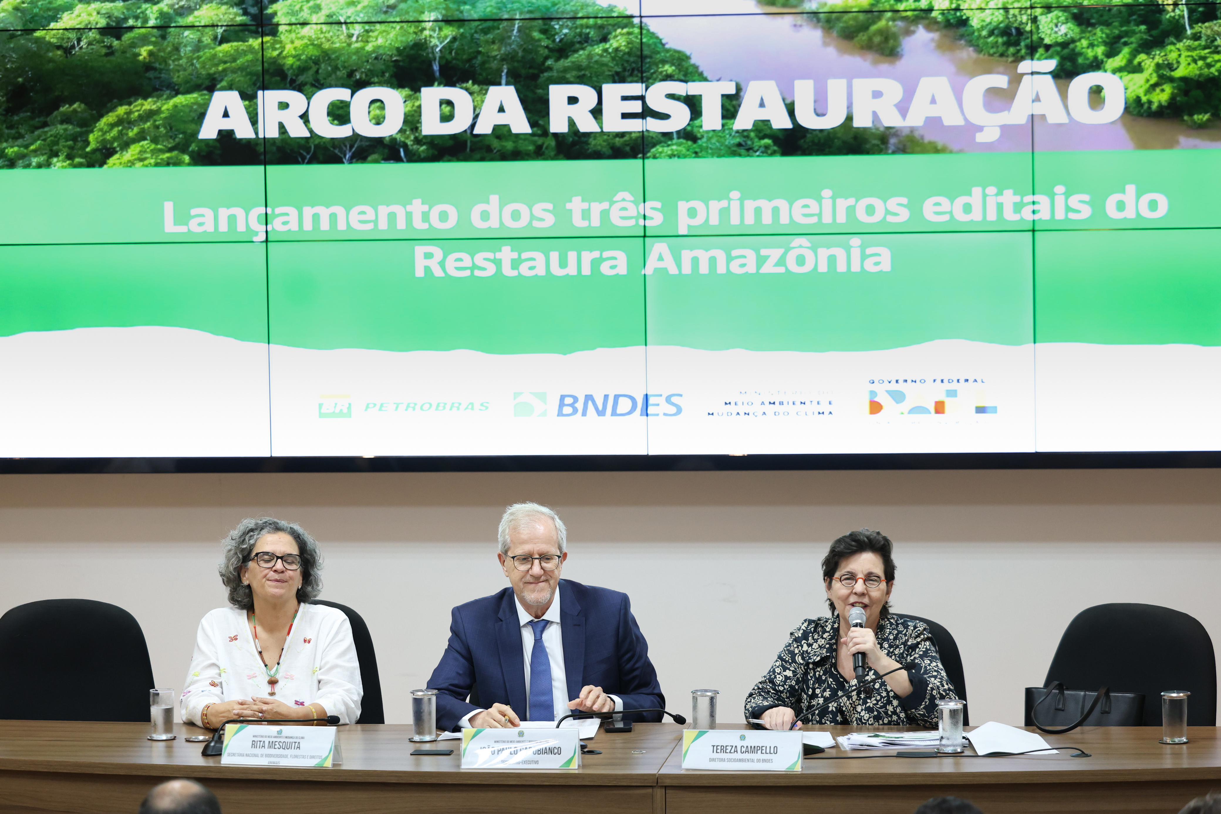 MMA e BNDES lançam os primeiros editais para restauração da Amazônia ...