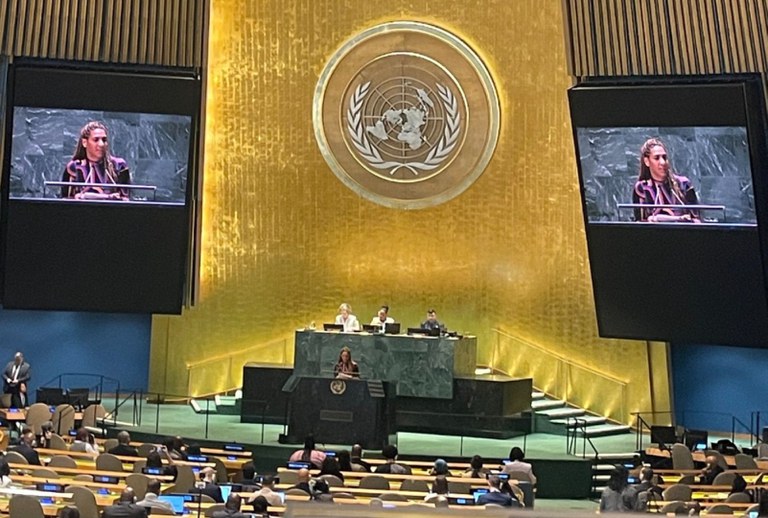 Em discurso na ONU, Anielle Franco chama países para se unirem no ...