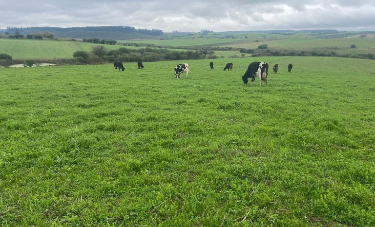 Mais R$ 5,6 milhões em crédito são liberados para assentados no Rio ...